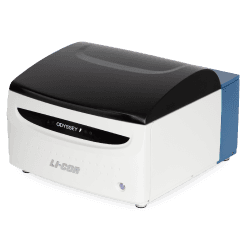 D-DiGit Gel Scanner for Safe DNA Gel Imaging