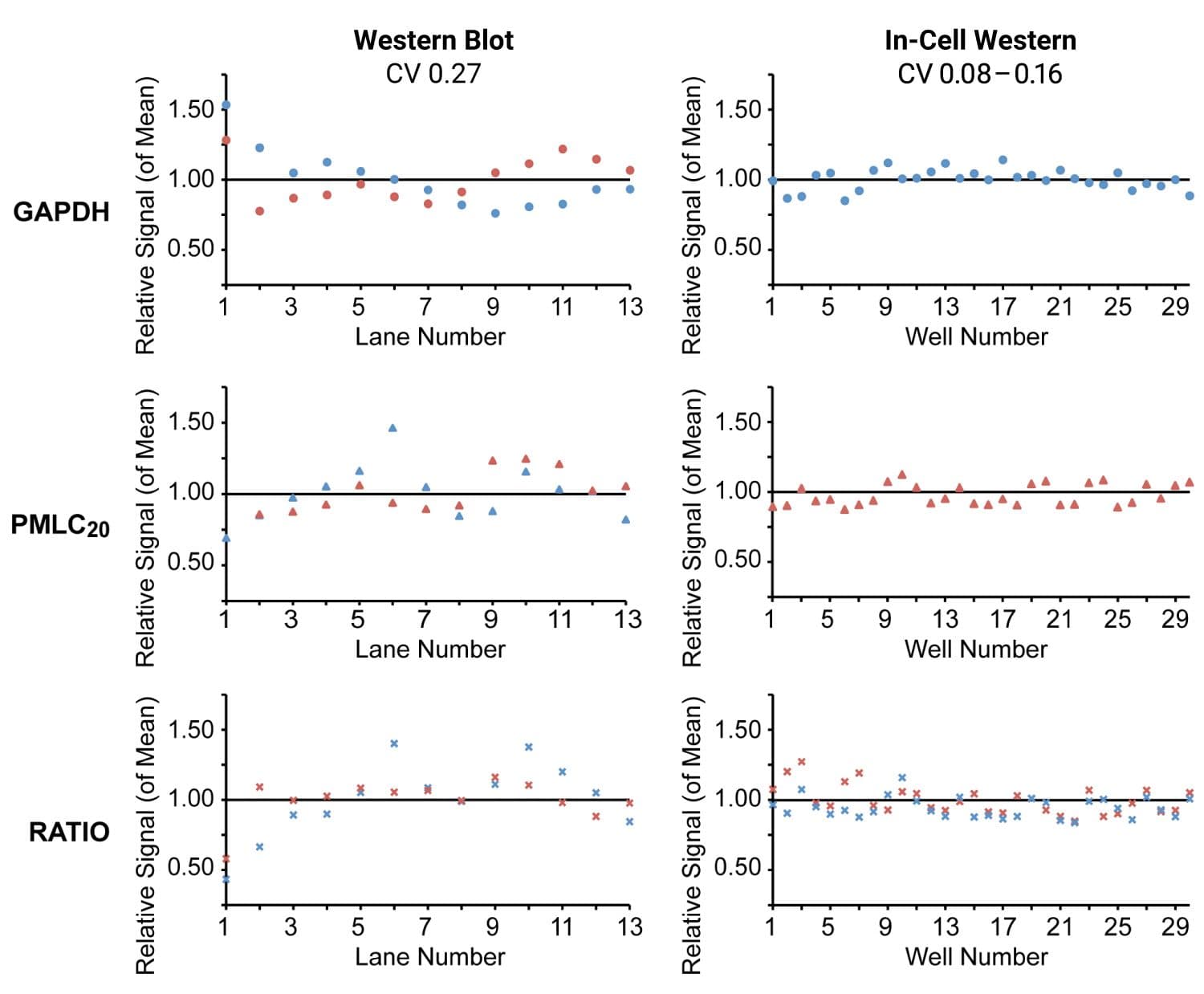 Quantitative Immunofluorescent Assays Using Fluorescent Imaging