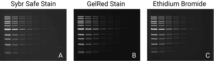 DNA and RNA Gel Documentation with the Odyssey Imagers