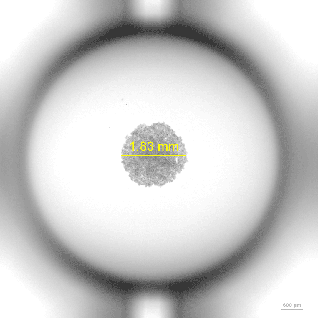 Atlas™ Applications | LICORbio