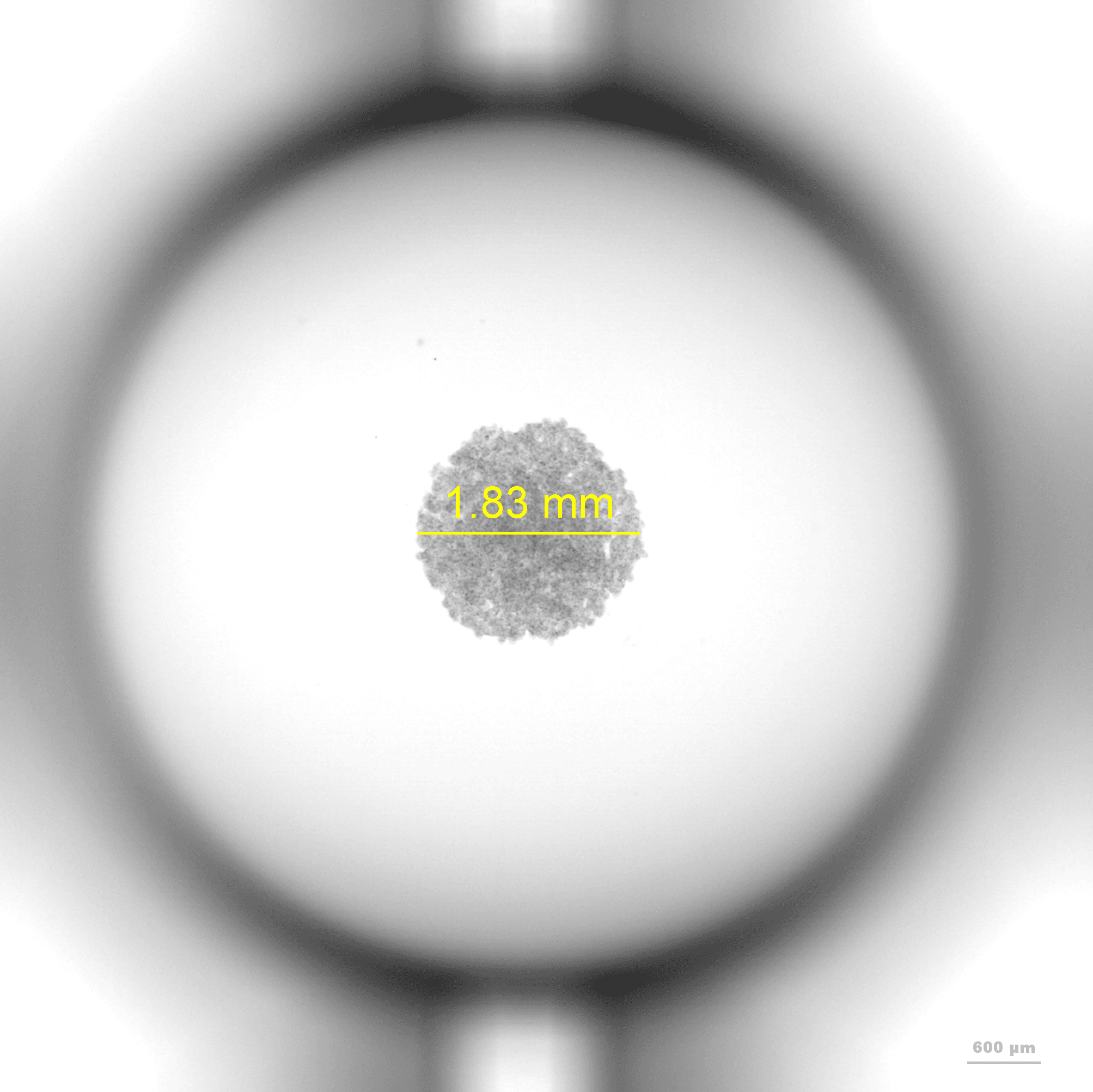 Atlas™ Applications | LICORbio