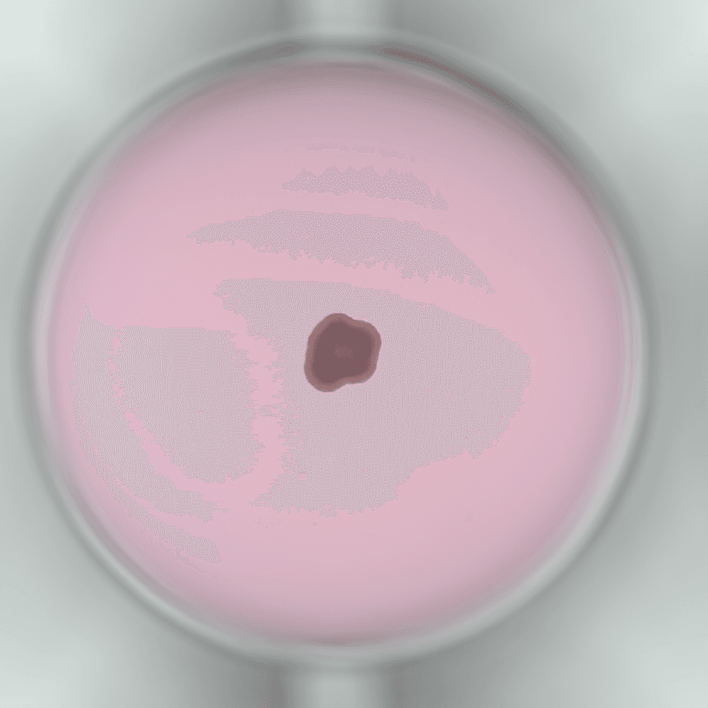 Atlas™ Applications | LICORbio