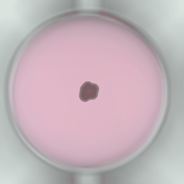 Atlas™ Applications | LICORbio