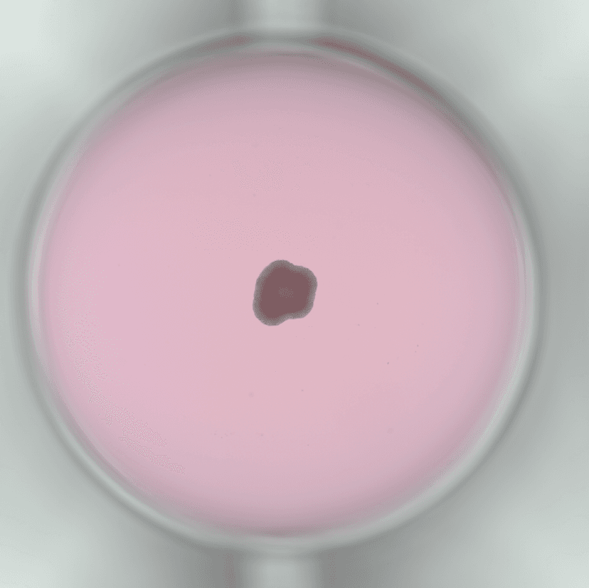 Atlas™ Applications | LICORbio