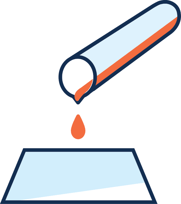Basic Workflow for Quantitative Western Blots