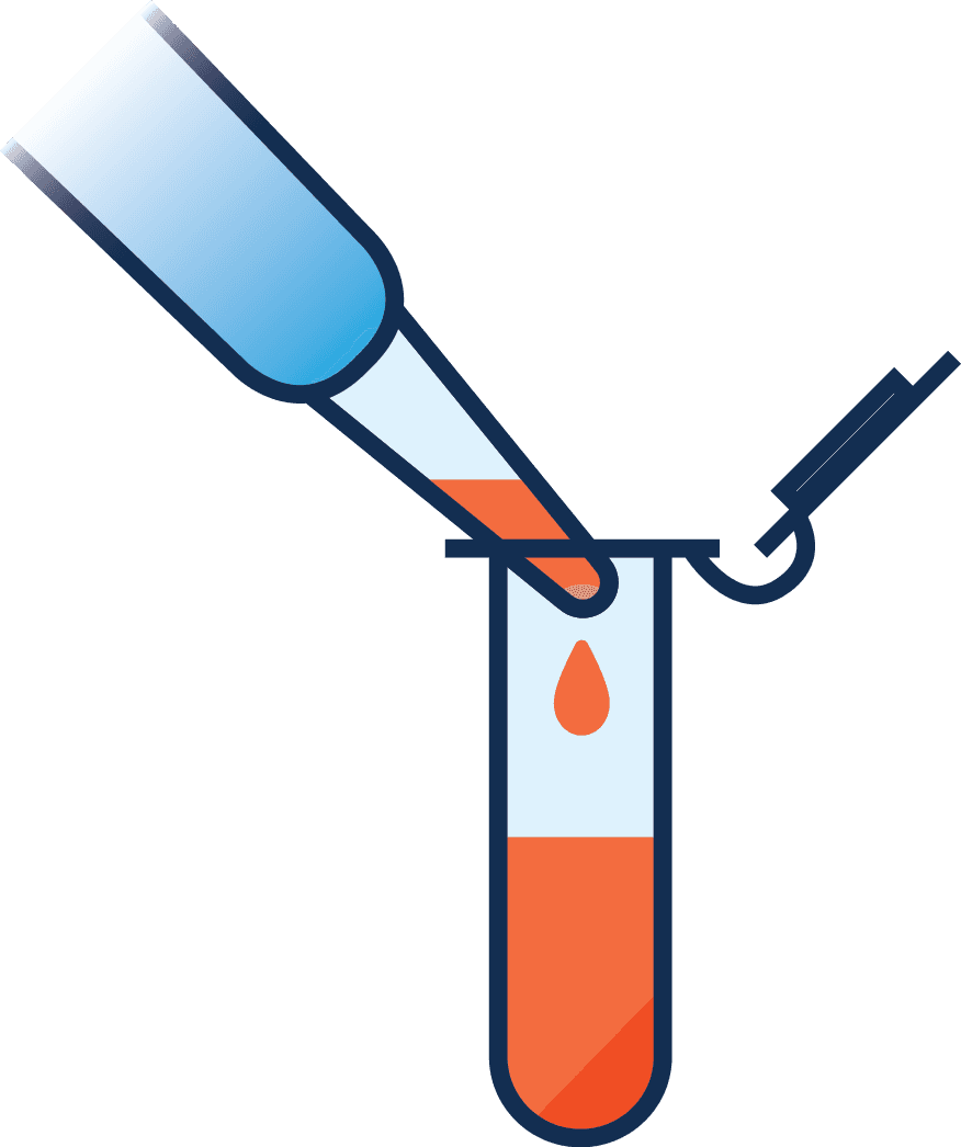 Basic Workflow for Quantitative Western Blots