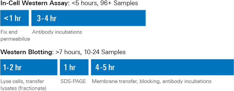 Quantitative Immunofluorescent Assays Using Fluorescent Imaging