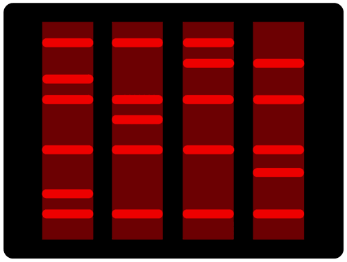 Empiria Studio | Expert Analysis Made Simple.