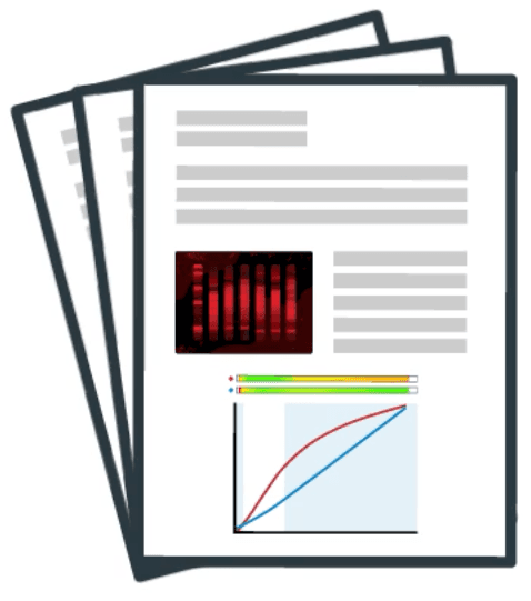 Empiria Studio | Expert Analysis Made Simple.
