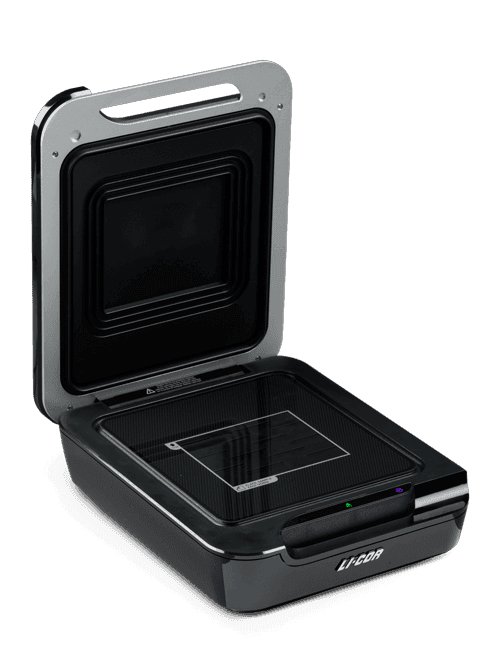 Digital Western Blot Imaging for Budget-Conscious Labs