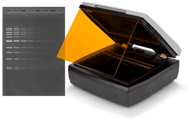 Interested in the DiGit Duo?